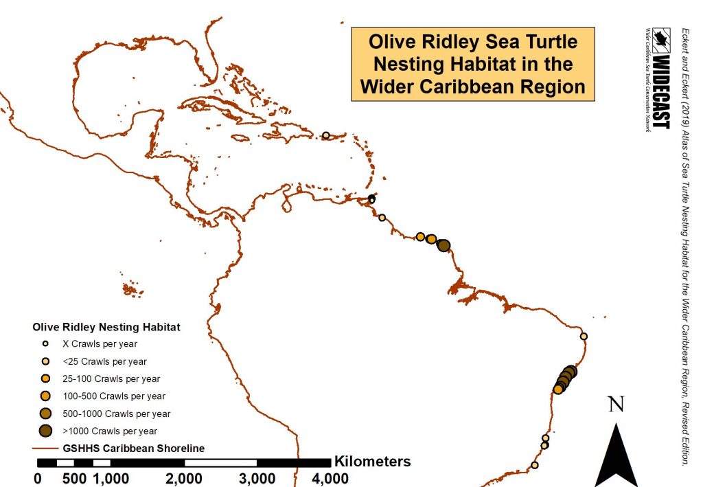 Sea Turtle Nesting Beach Atlas